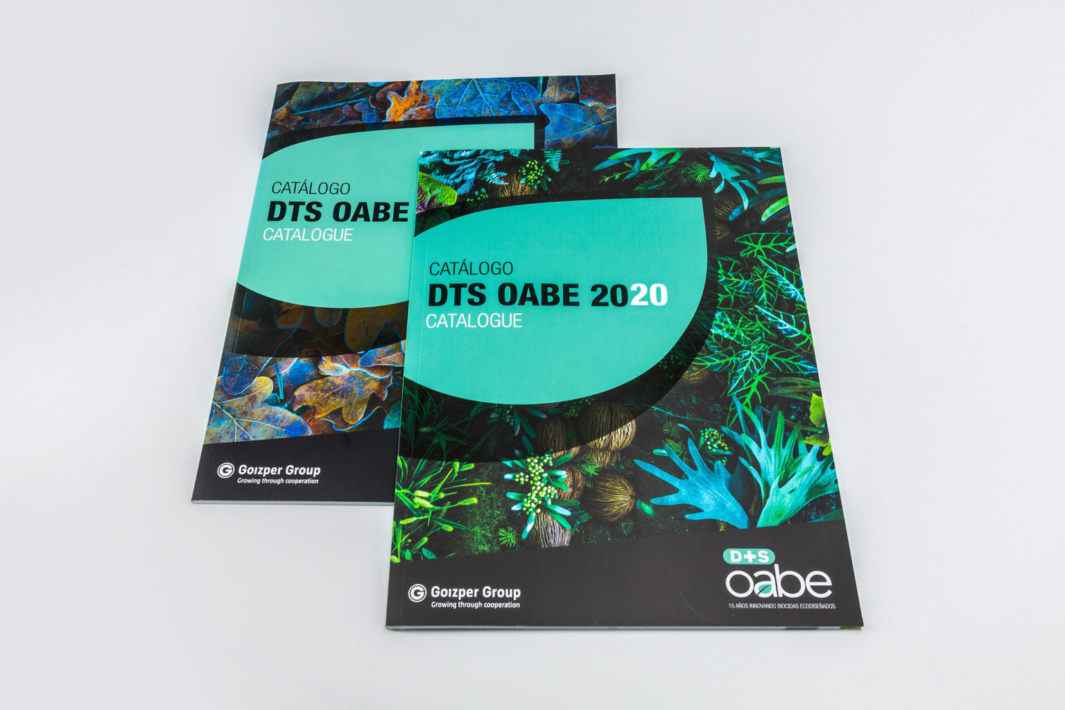 Prácticas profesionales remuneradas en Bizkaia con Fundación Novia Salcedo